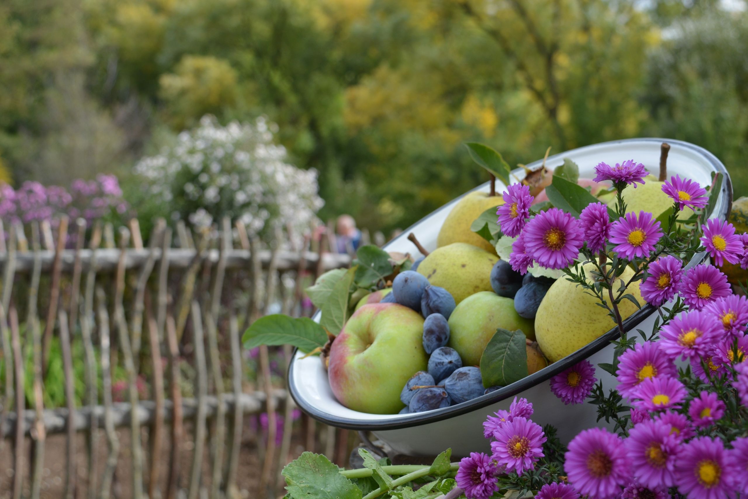 „Museumsreif - unser HerbstFest“ im Fränkischen Freilandmuseum ...