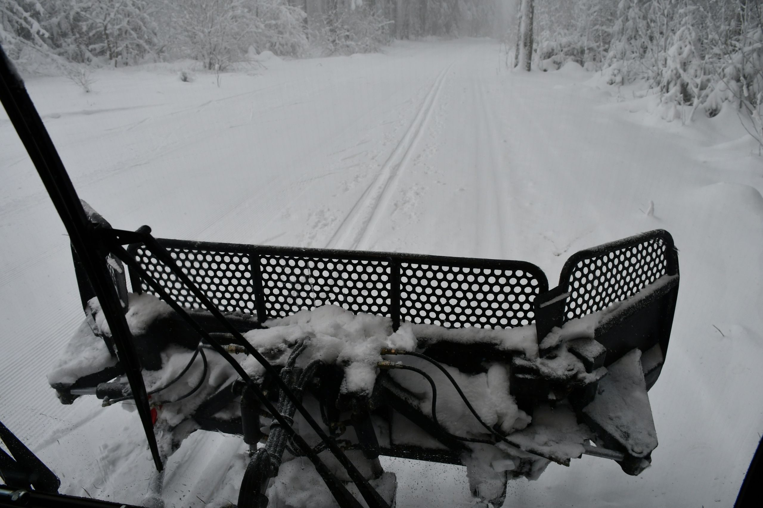 PM Loipenfahrer 5 - Lea Hohmann - Fladungen-Rhön